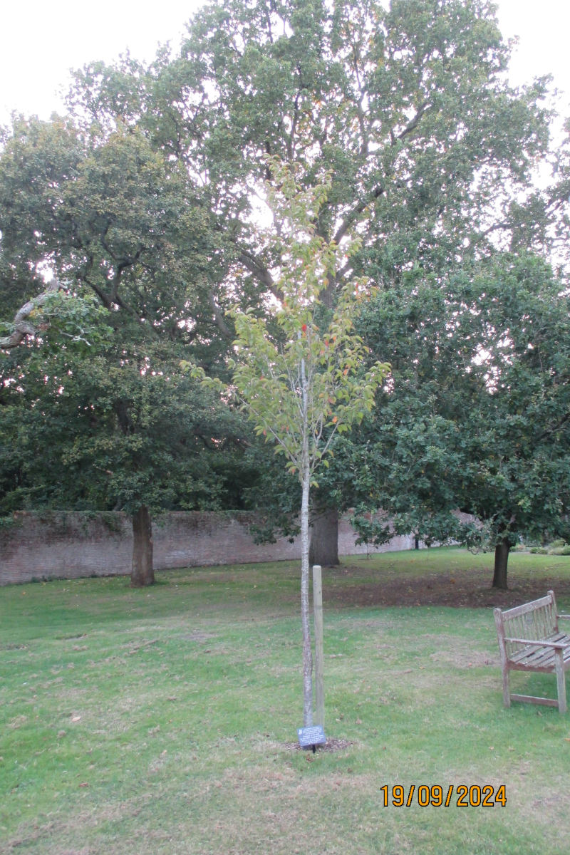 Baby Loss Memorial – Hampshire Constabulary History Society